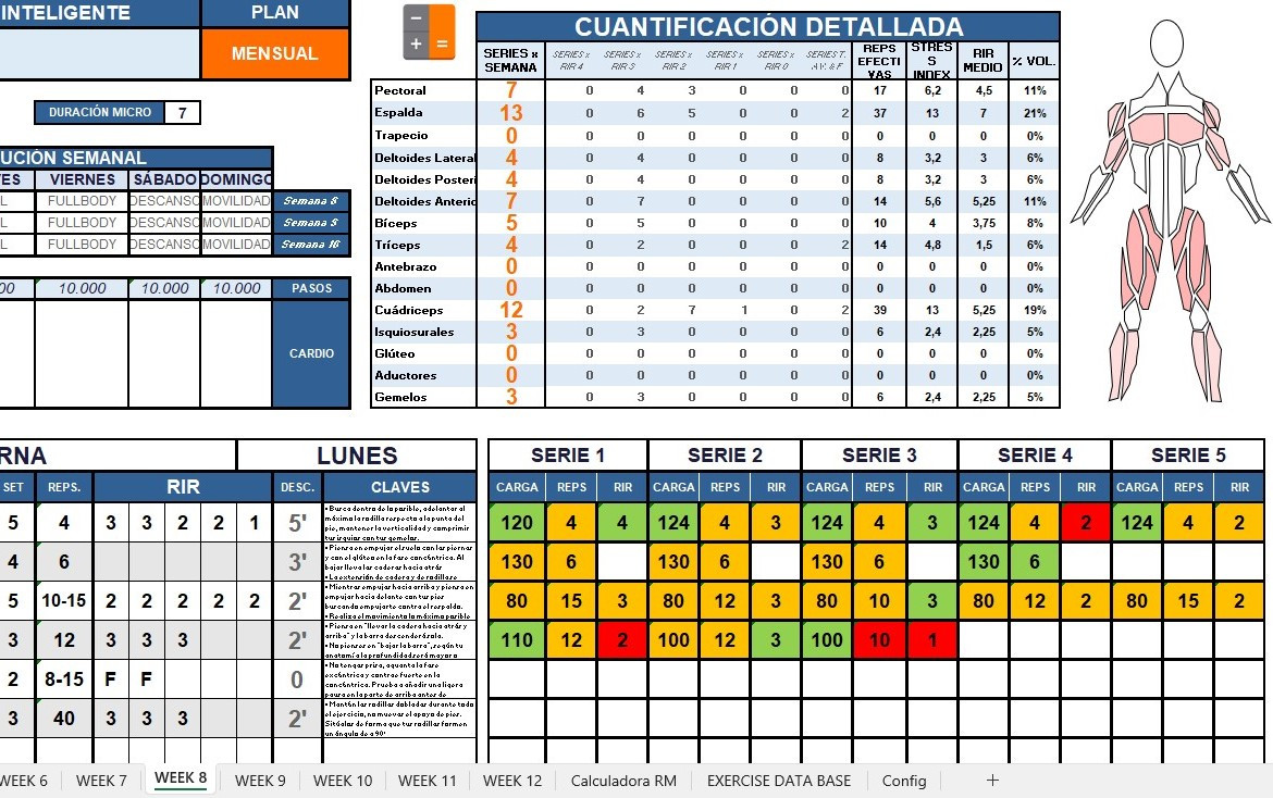 Programación del Entrenamiento - Entrenamiento Inteligente